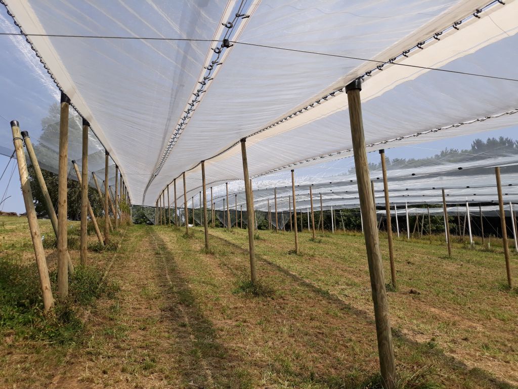 System Start - Up :: Frustar