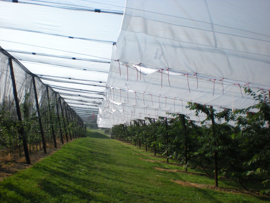 System Pilatus :: Frustar