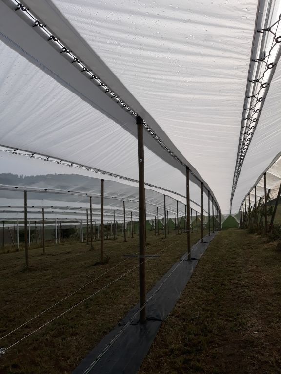 System Start - Up :: Frustar